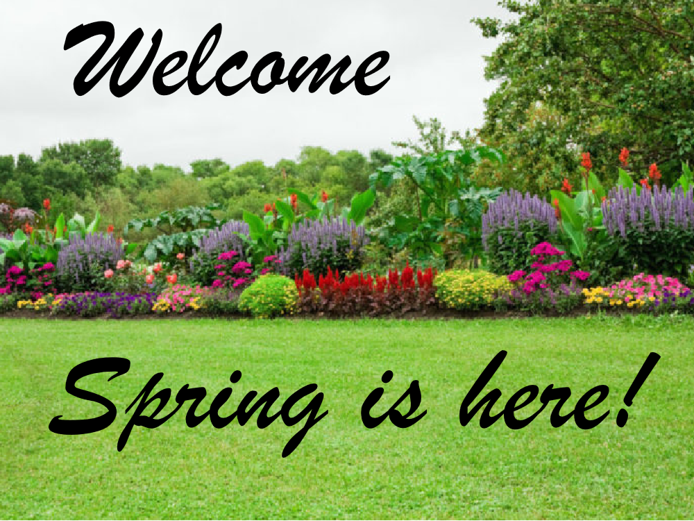 SPRING is here! - WGNS Radio